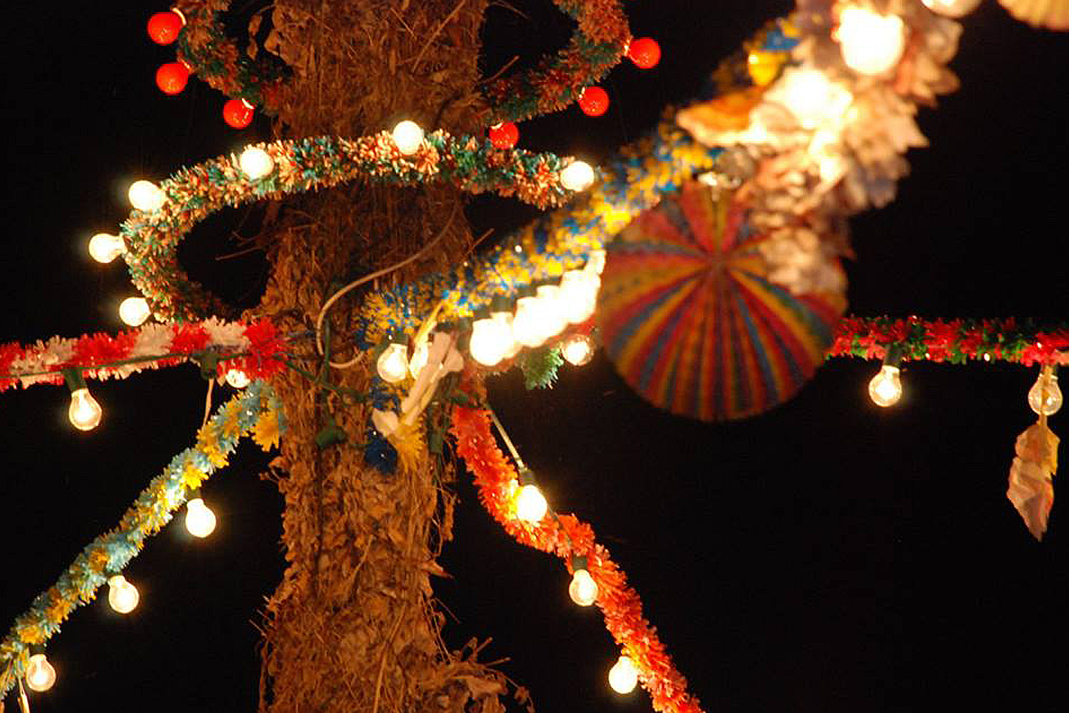 Marchas Populares Animam Noite De Santo António Rádio Pax