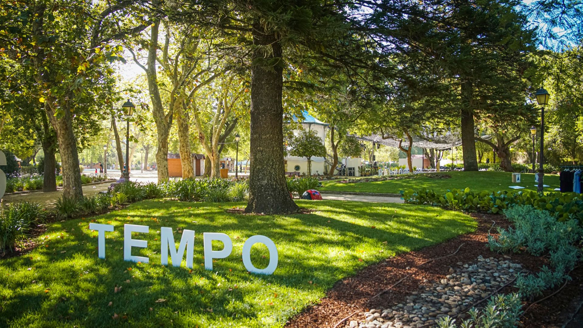 Beja aposta em Beja aposta em